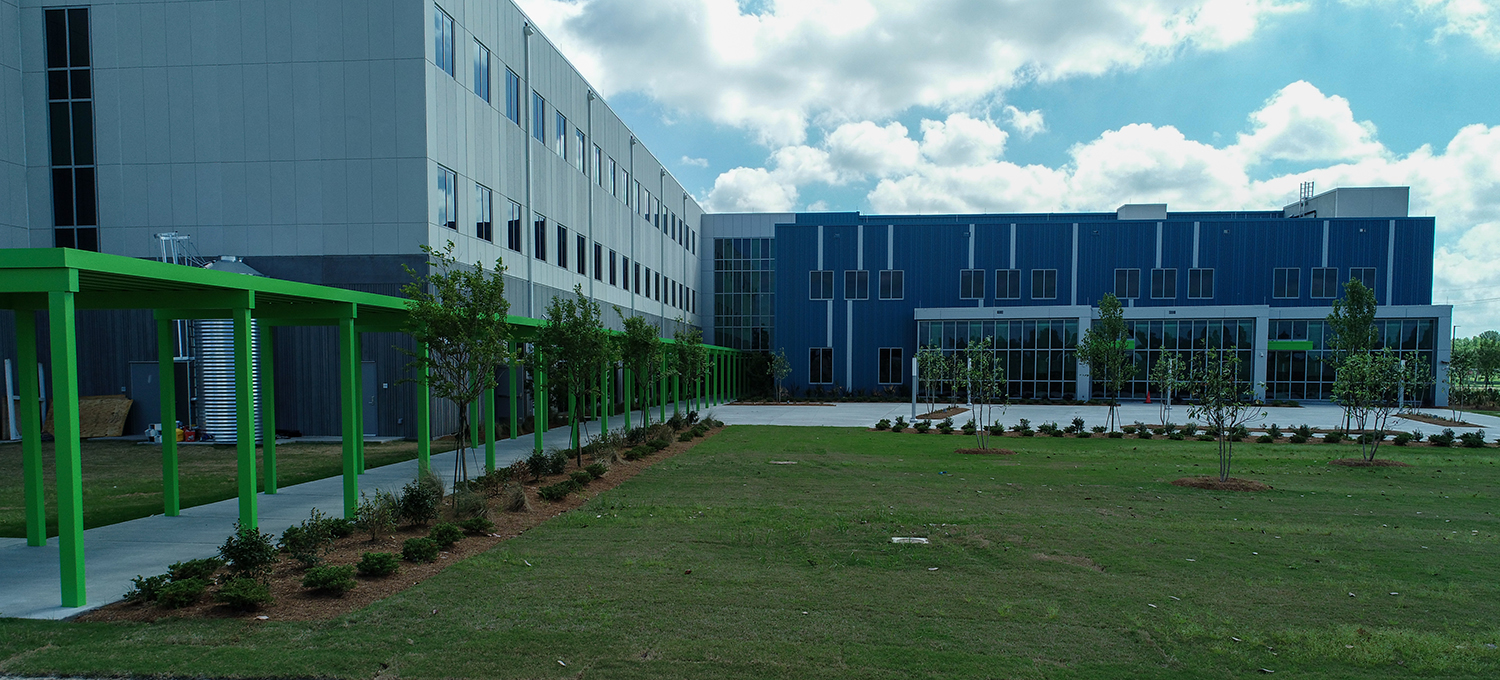 Kenner Discovery School | Mullin Landscape Projects